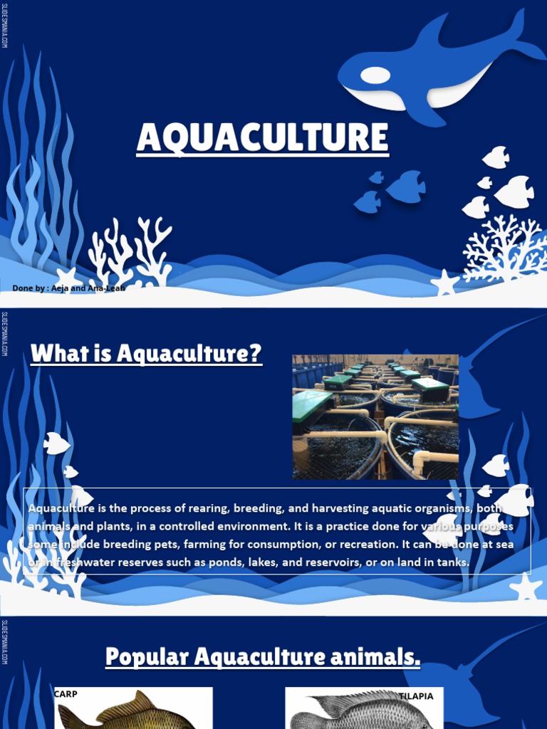 Aquaculture | PDF | Aquaculture | Agriculture