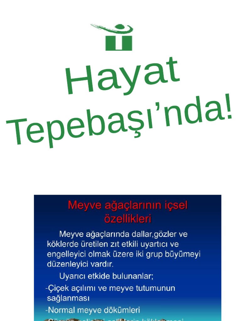 Budama Hazir Slayt | PDF