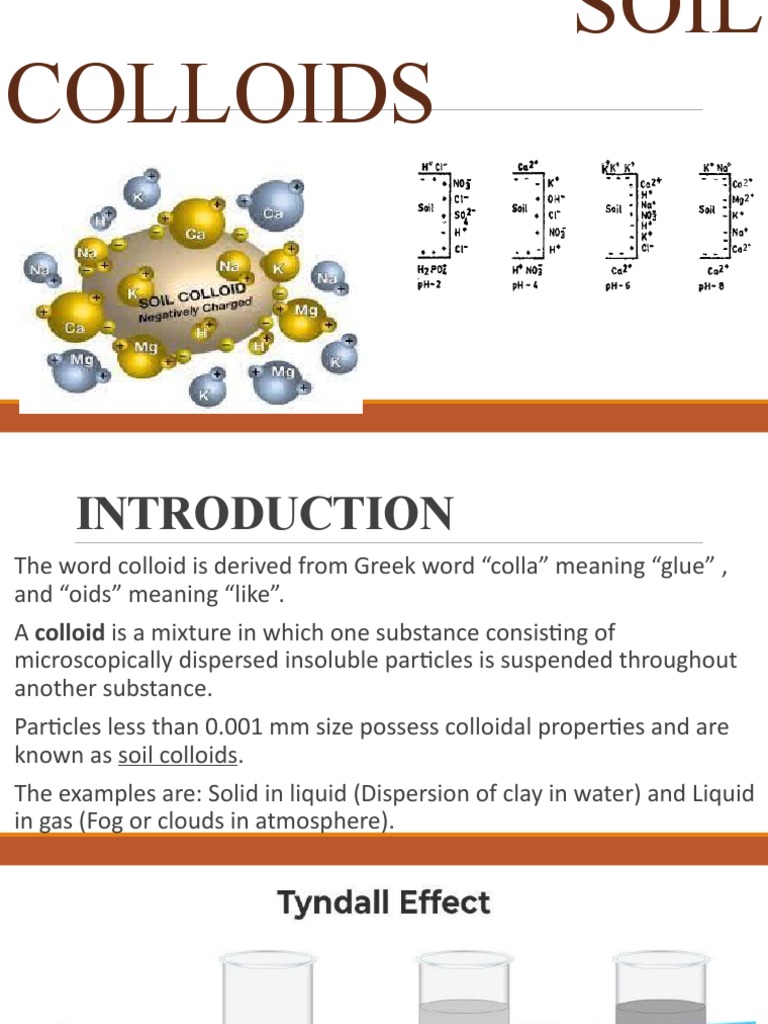 Soil Colloids | PDF | Soil | Ion