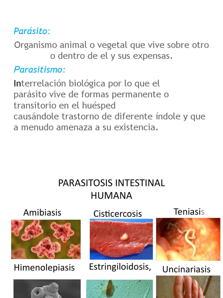 Parasitosis Intestinal | Descargar gratis PDF | Parasitología | Inmunología