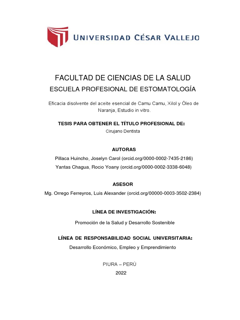 Pillaca HJC Yantas CRY SD | PDF