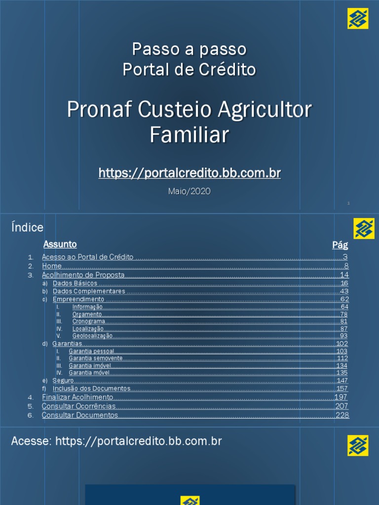 Passo A Passo - Custeio Pronaf - Maio 2020 | PDF