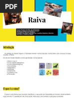 Fluxograma Raiva 2 | PDF | Raiva | Animais e seres humanos