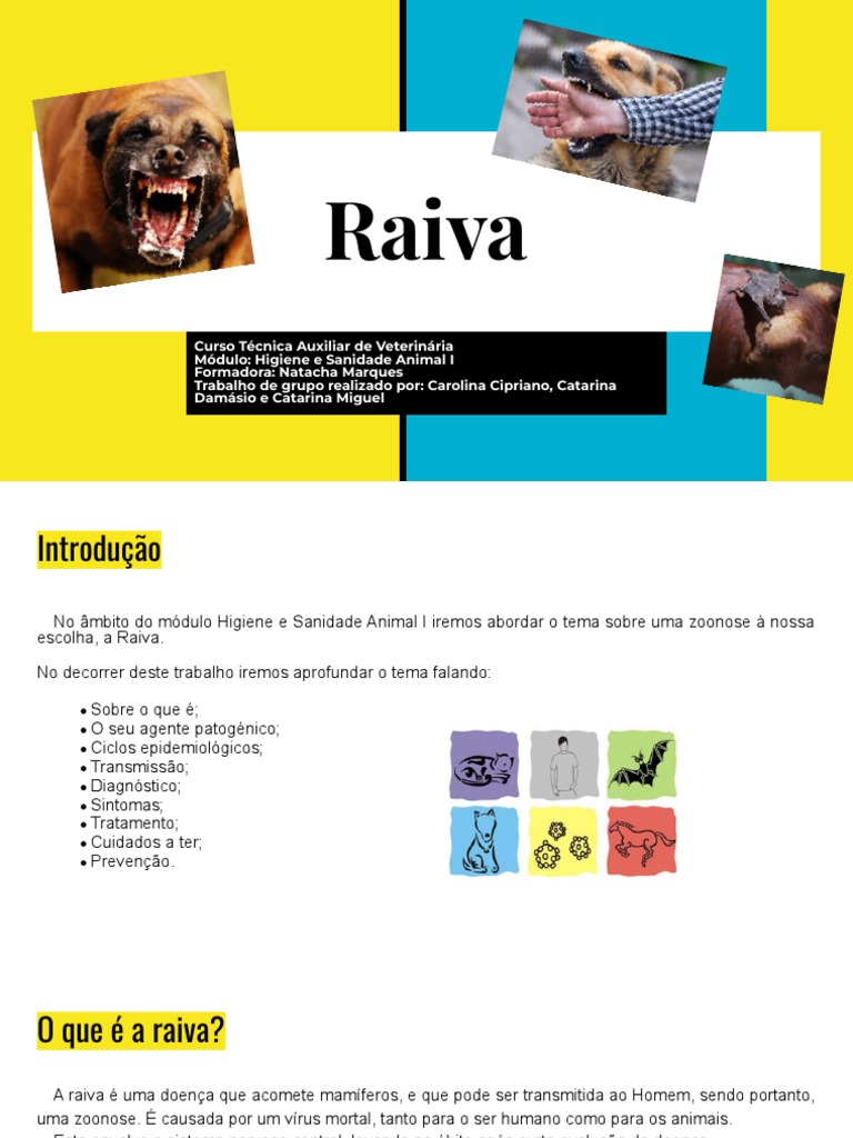 Raiva: Sintomas e Prevenção | PDF | Raiva | Doenças e distúrbios