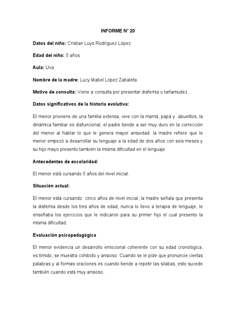 Modelo de Informe | PDF