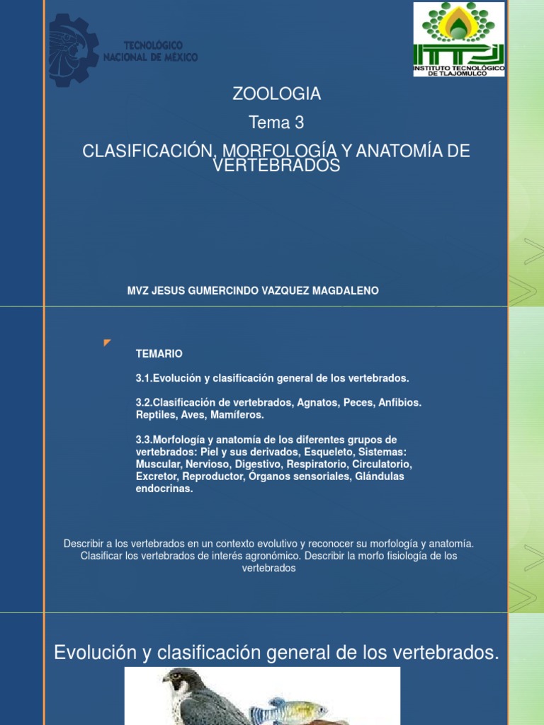 Anatomía y clasificación de vertebrados | PDF | Vertebrados | Reproducción