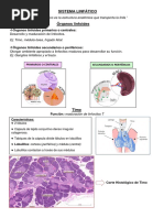 Cápsula de Glisson | PDF | Tejido adiposo | Riñón