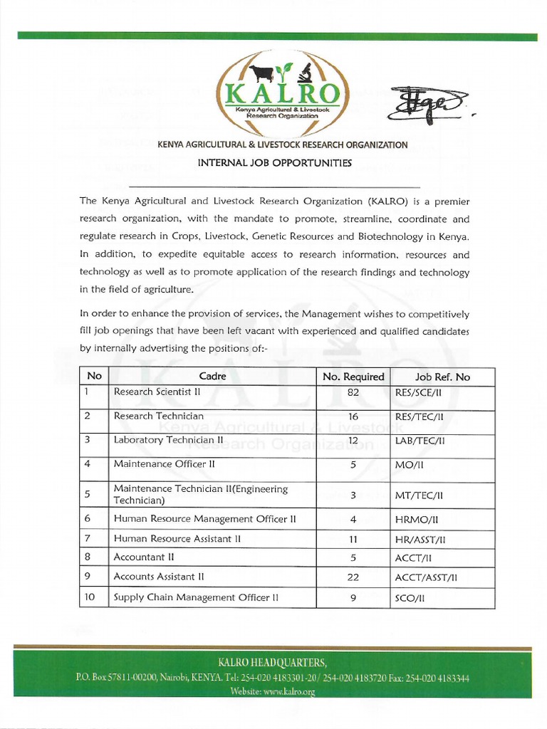 Internal Job Opportunities | PDF