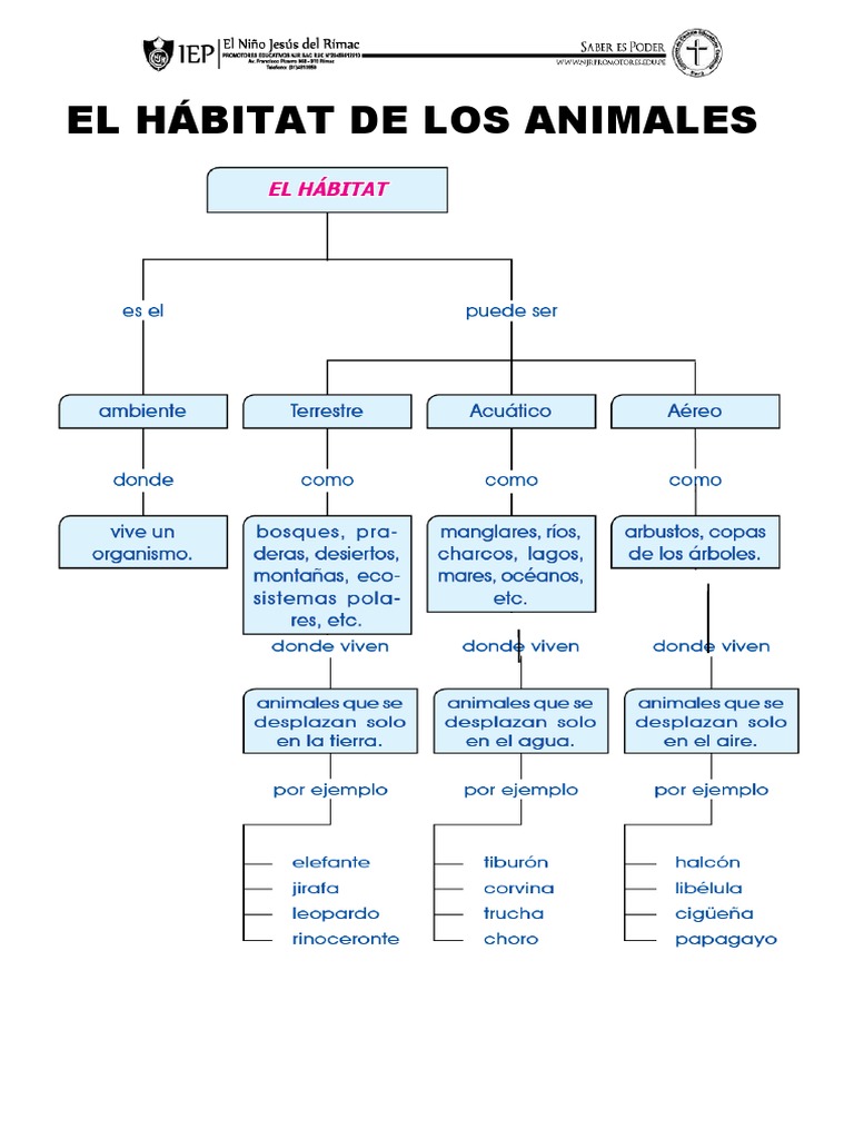 El Habitad de Los Animales para Segundo Grado de Primaria | PDF