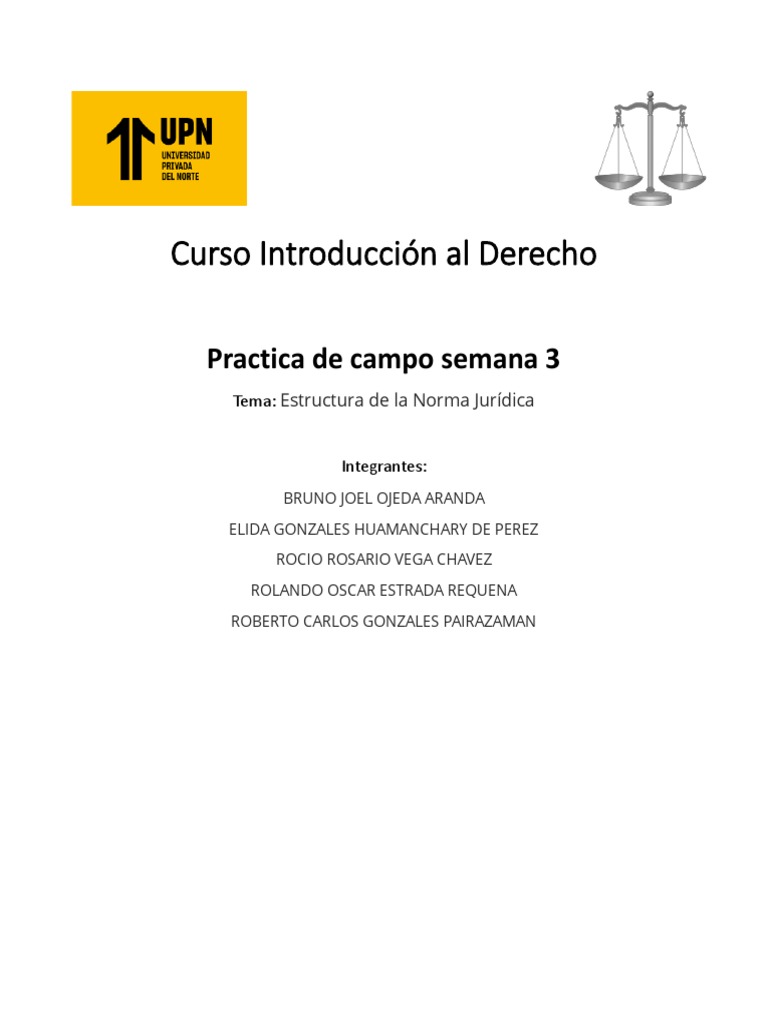 Estrada R Practica de Campo Semana 3 Int. Der | PDF | Homicidio | Intención (Derecho Penal)