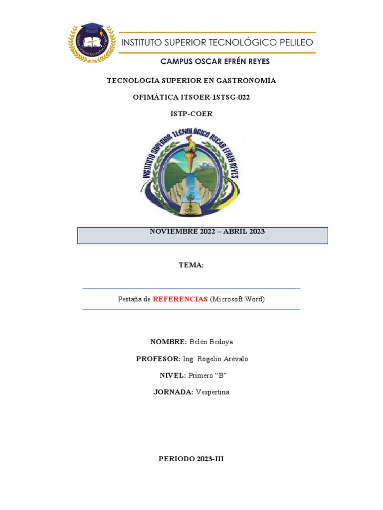 Funciones de la Pestaña Referencias en Word | PDF | Bibliografía ...