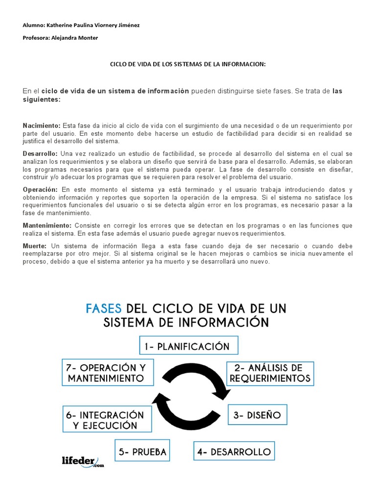 Ciclo de Vida de Un Sistema | PDF