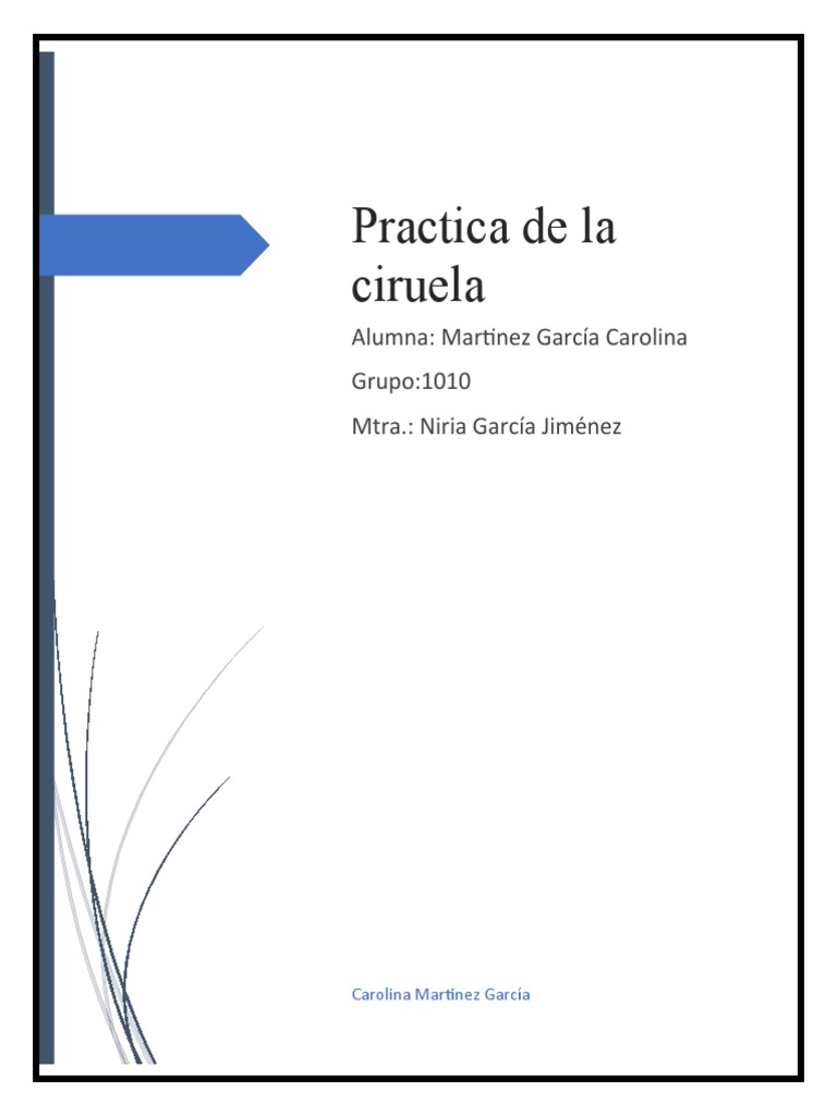 Practica de La Ciruela | PDF | Ósmosis | Agua
