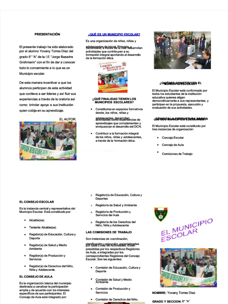 PDF Triptico Municipio Escolar - Compress | PDF