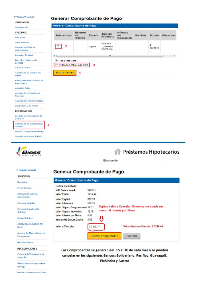 Como Generar Comprobante de Pago en Mora PH | PDF