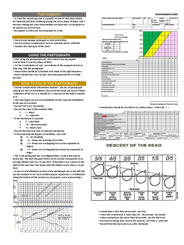 PARTOGRAPH | PDF | Childbirth | Mammalian Pregnancy