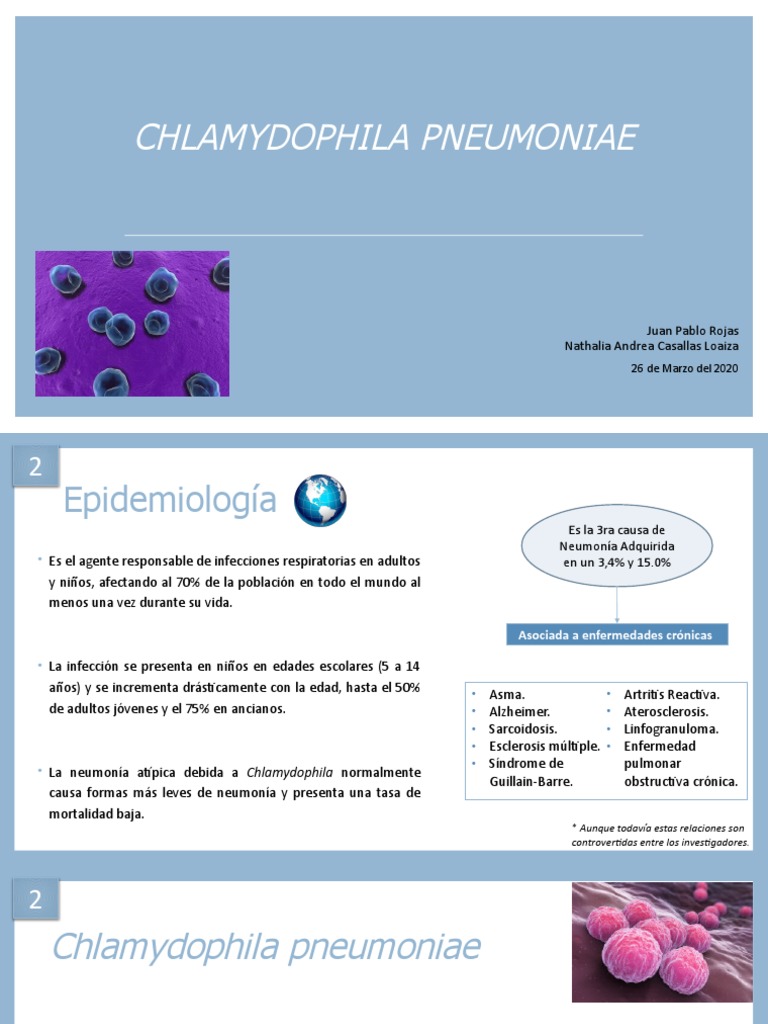Chlamydia Pneumoniae Pdf Especialidades Medicas Ciencias De La Salud