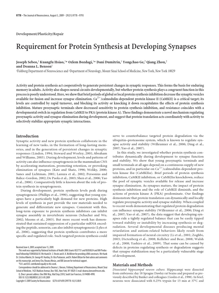Requirement For Protein Synthesis at Developing Synapses: Development ...