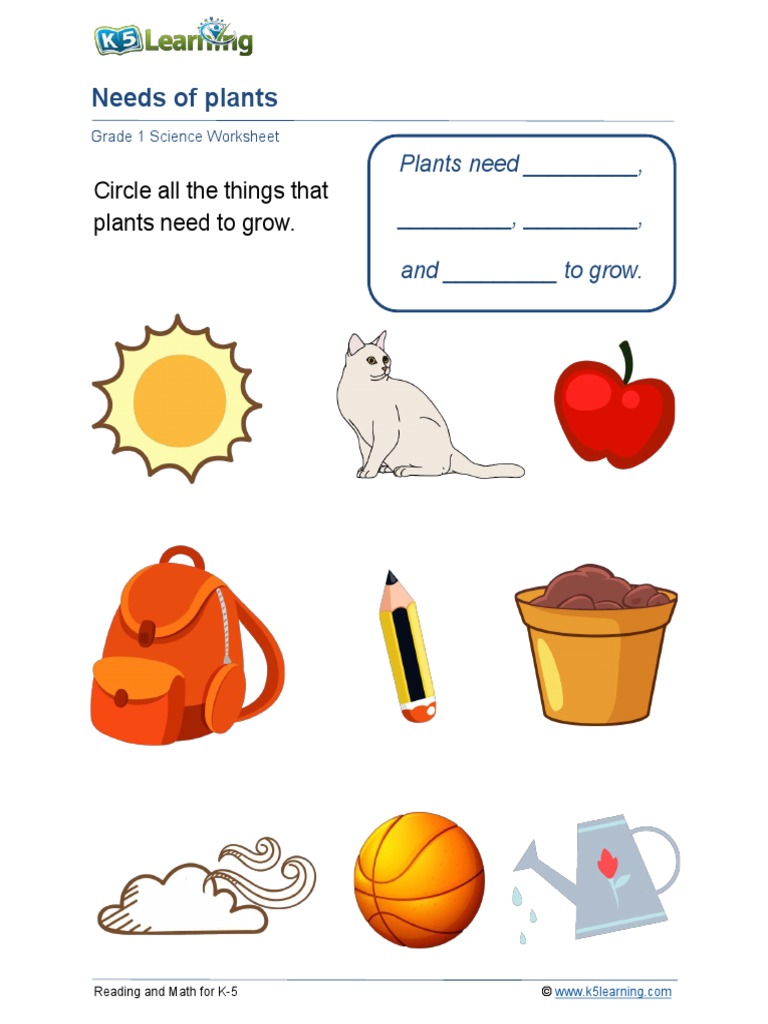 Grade 1 Plant Needs B | PDF