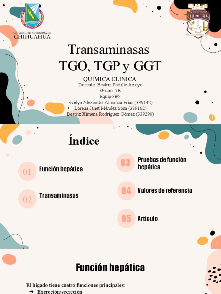 Transaminasas - TGO, TGP y GGT | PDF | Transaminasa | Especialidades ...