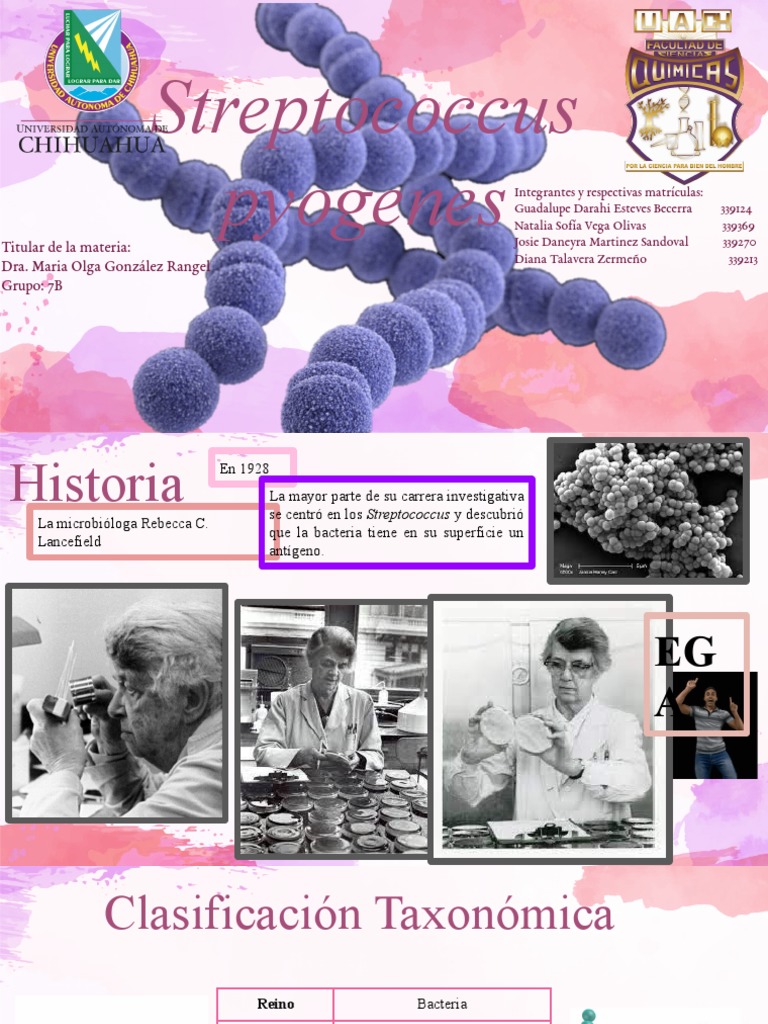 Streptococcus Pyogenes | PDF | Estreptococo | Epidemiología