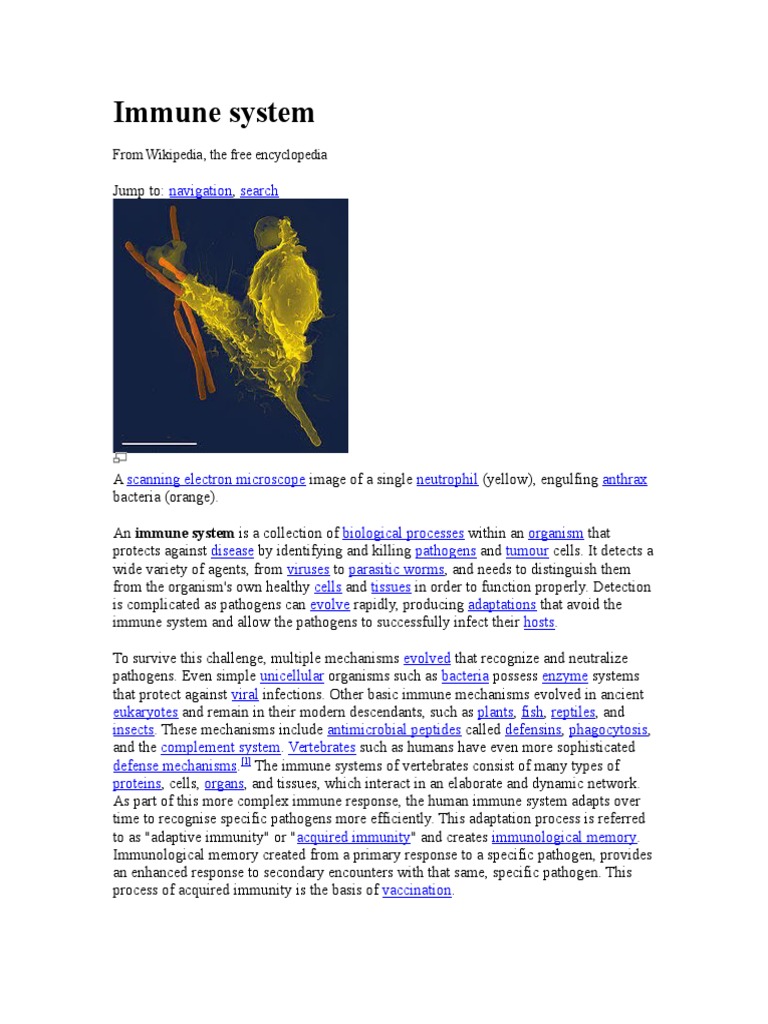 Immune System: From Wikipedia, The Free Encyclopedia | PDF | Adaptive ...