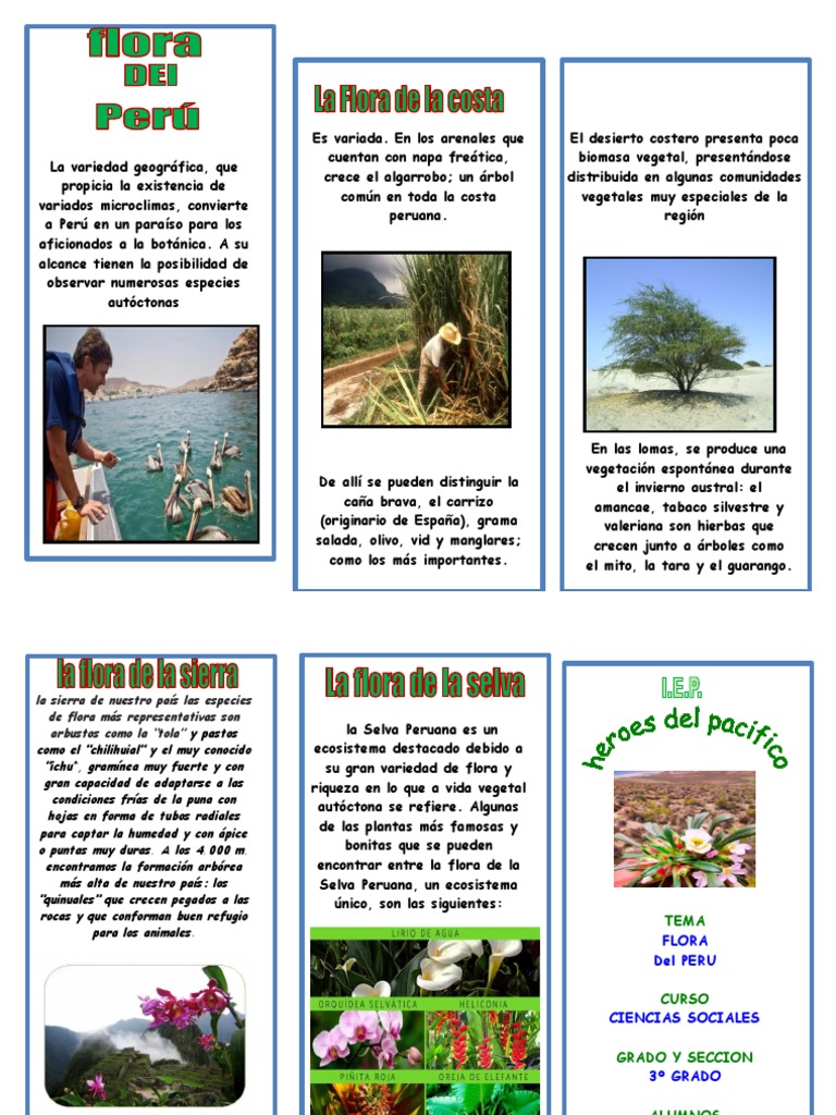 Flora Del Peru | PDF | Perú | Selva