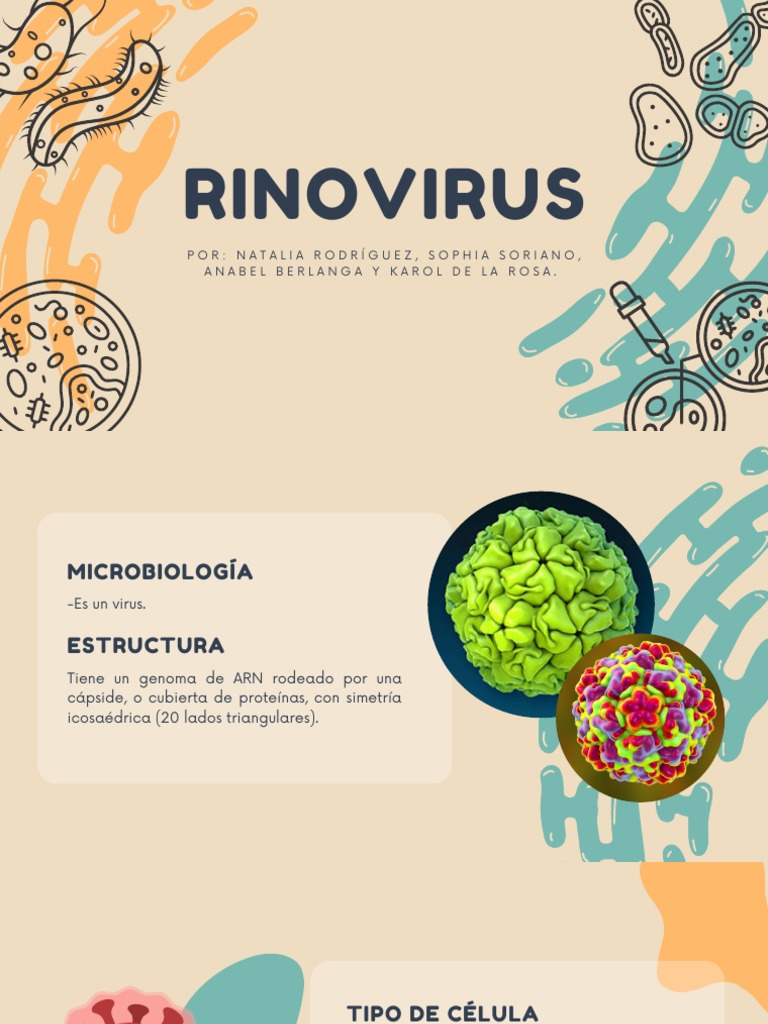 Proyecto de Microorganismos | PDF