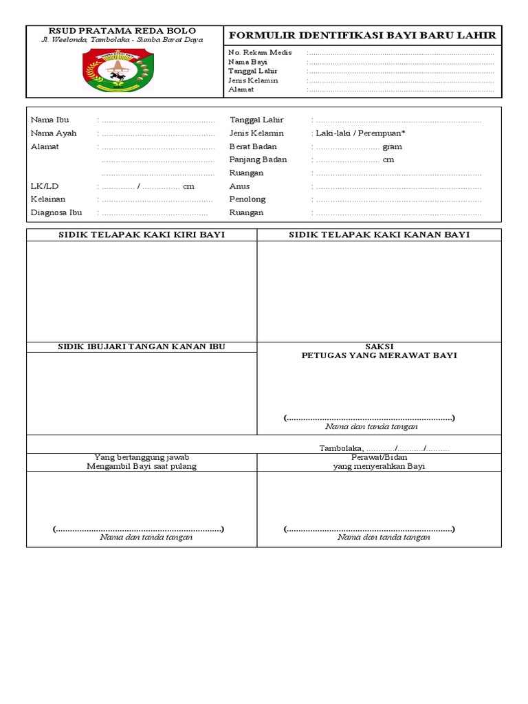 Formulir Identifikasi Bayi Baru Lahir | PDF