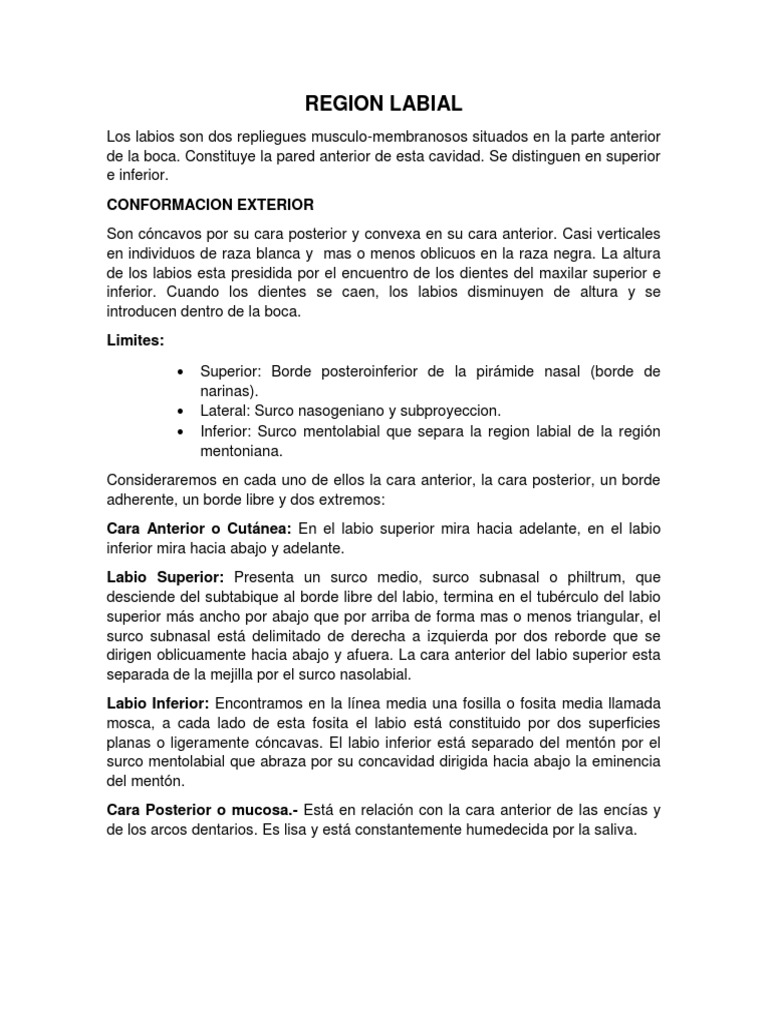 Region Labial | PDF | Anatomía humana | Cabeza y cuello humanos