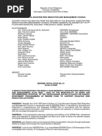 LDRRM Functions | PDF | Emergency | Emergency Management