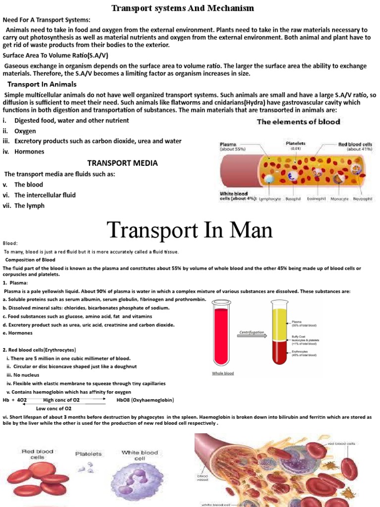 Overview of Biological Transport Systems | PDF | Travel | Science ...