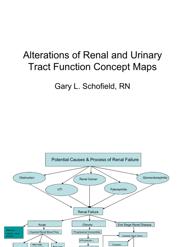 Renal Concept Map | PDF