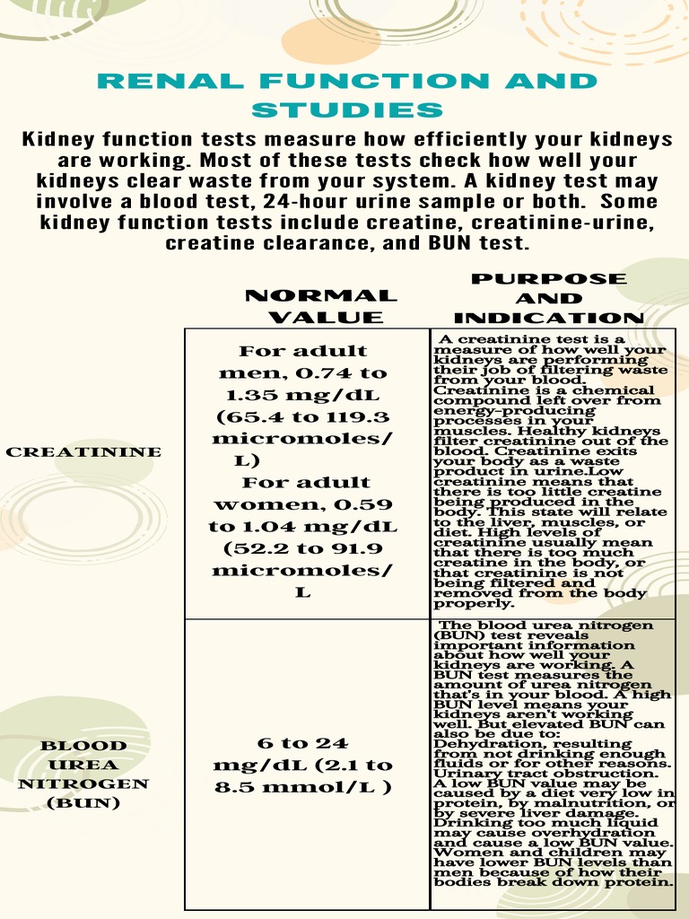 Renal Function | PDF | Creatinine | Kidney