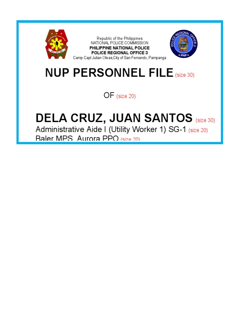 PNP Application Folder Sample Format | PDF | Politics | Social Science