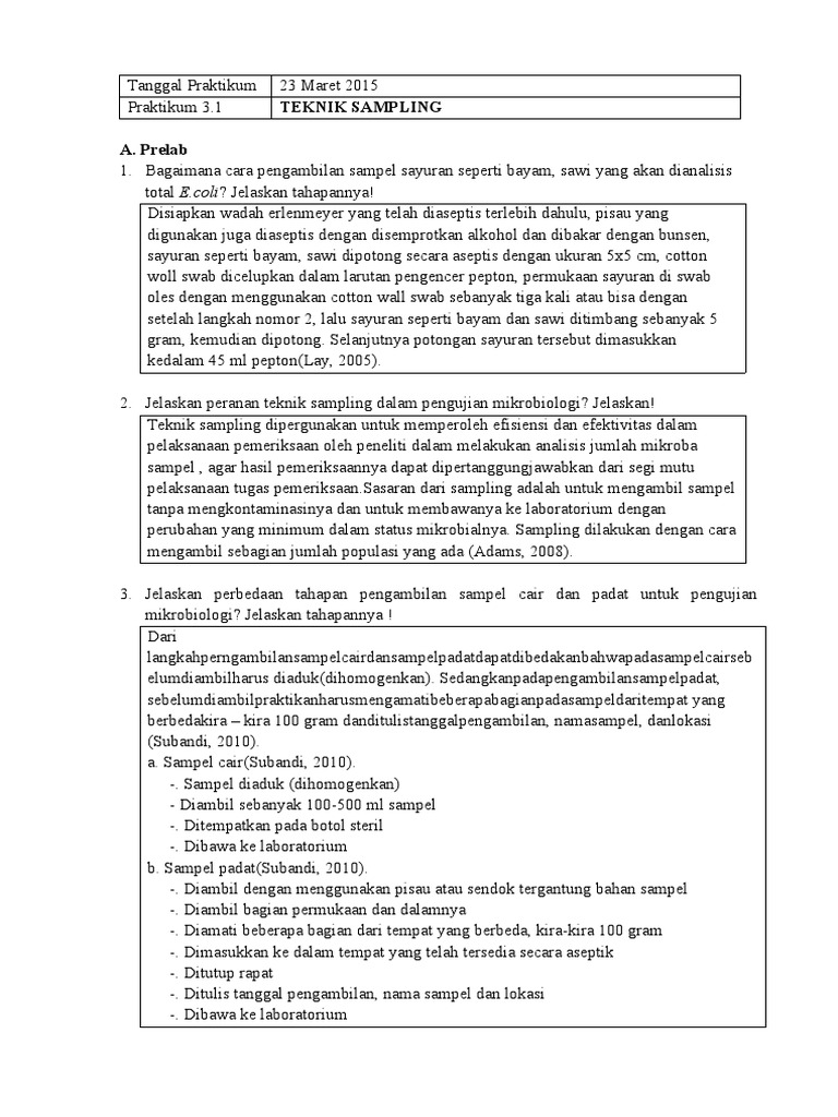 Teknik Sampling | PDF