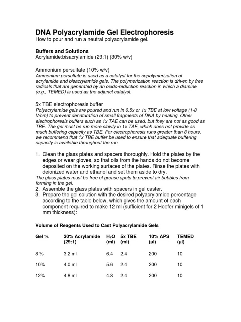DNA Polyacrylamide Gel Protocol | PDF