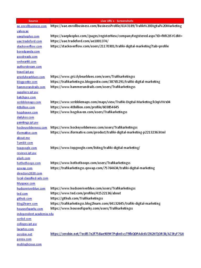 Trafiki Digital Marketing | PDF | Business | Computers