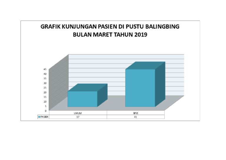 Grafik Kunjungan Pasien Di Pustu Balingbing Bulan Maret Tahun 2019 | PDF