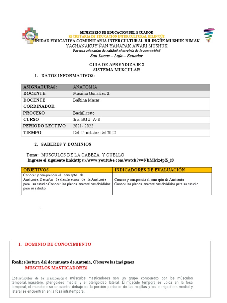 Guia 2 Musculos De La Cabeza Y Region Anterior Del Cuello Pdf