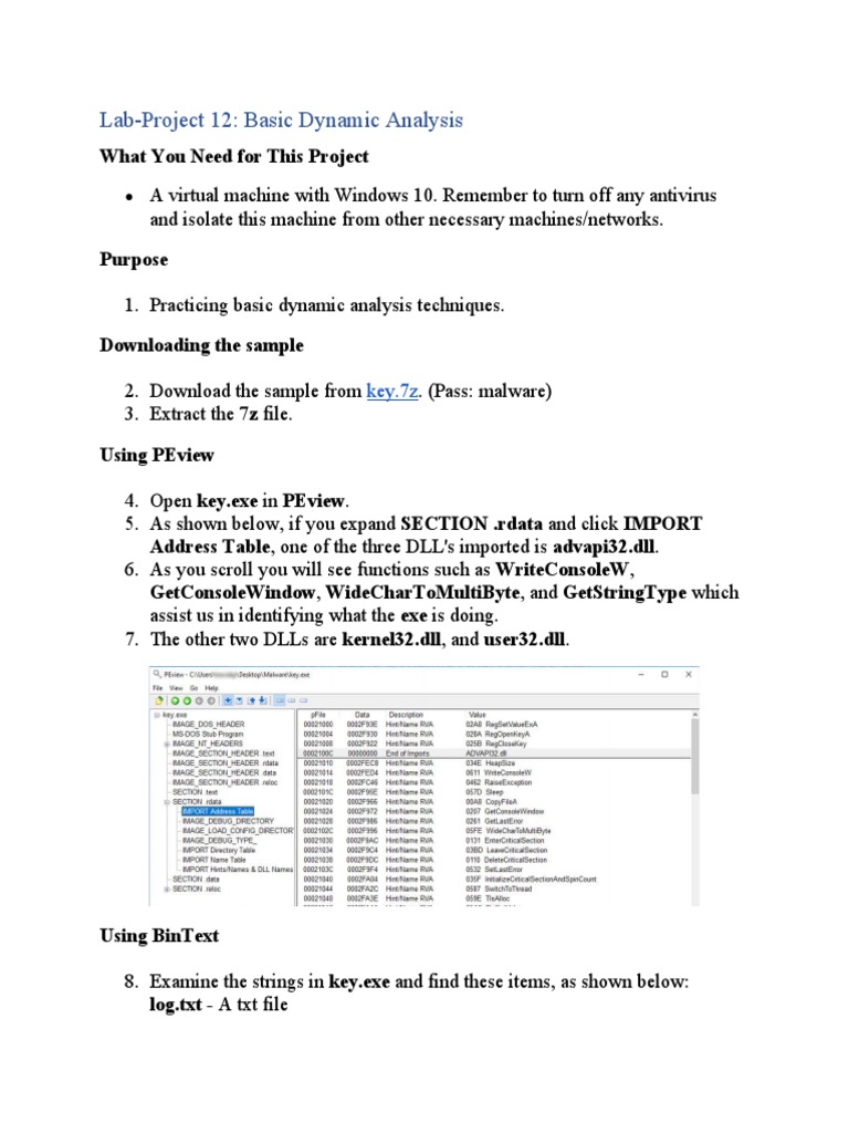 Lab Proj 12 - Basic Dynamic Analysis | Descargar gratis PDF | Windows Registry | Computer ...