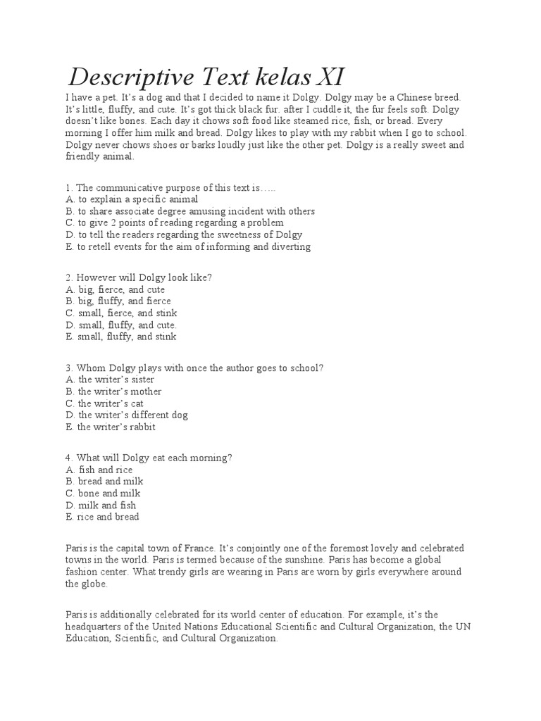 Descriptive Text Kelas XI | PDF | Paris