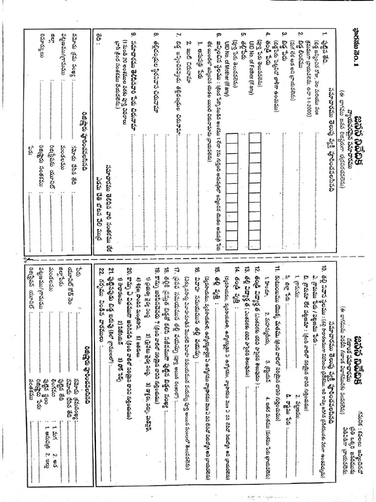 Birth Registration Application | PDF