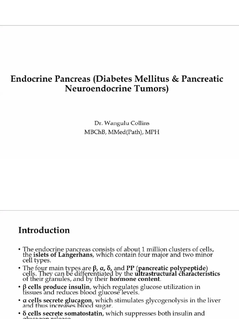 Endocrine Pancreas Pathology | PDF