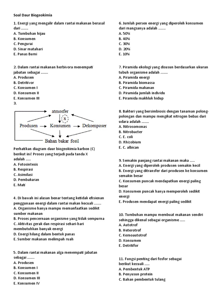 Soal Daur Biogeokimia | PDF
