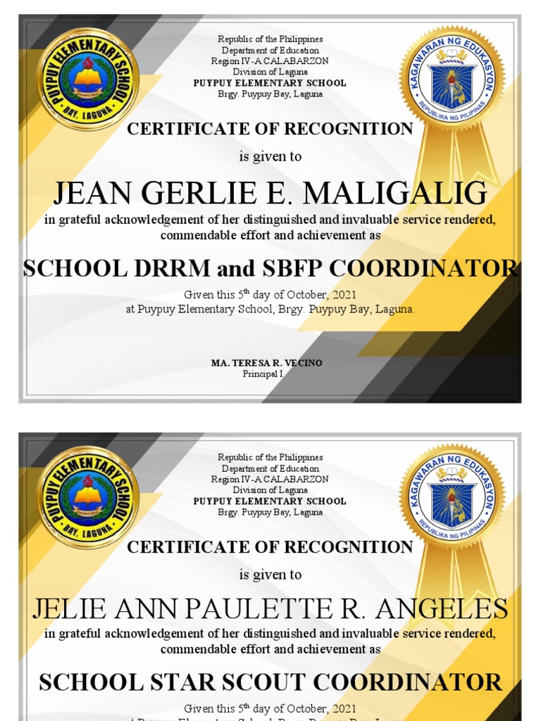 Recognition Award Certificates School coordinatorship.2021.MTRV | PDF ...