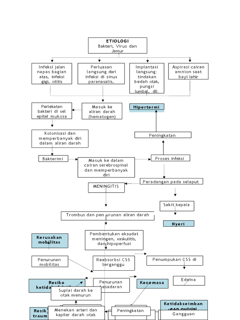 Woc Meningitis | PDF