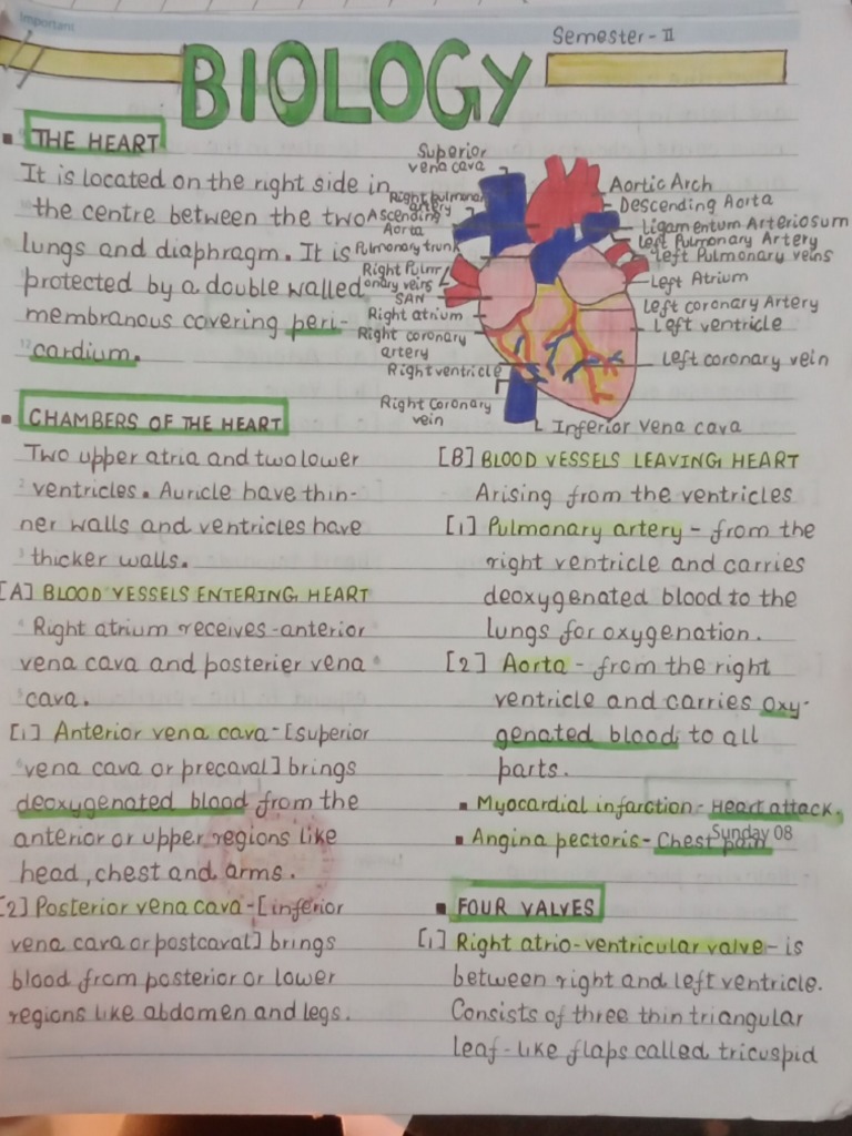 Biology Icse Class 10 Notes by Molly | PDF