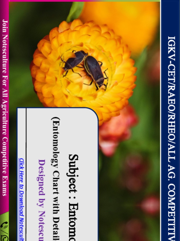 Entomology All in 1 Chart | Download Free PDF | Pest (Organism) | Beetle