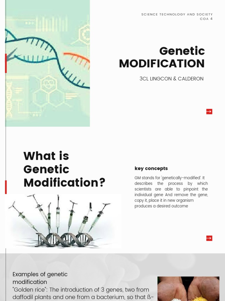 Genetic Modification | PDF | Genetic Engineering | Biotechnology
